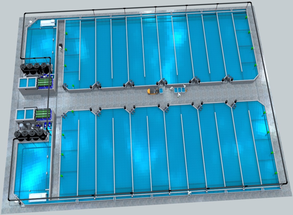 REX-M: Experte für Aquakultur in Kreislaufanlagen (RAS)