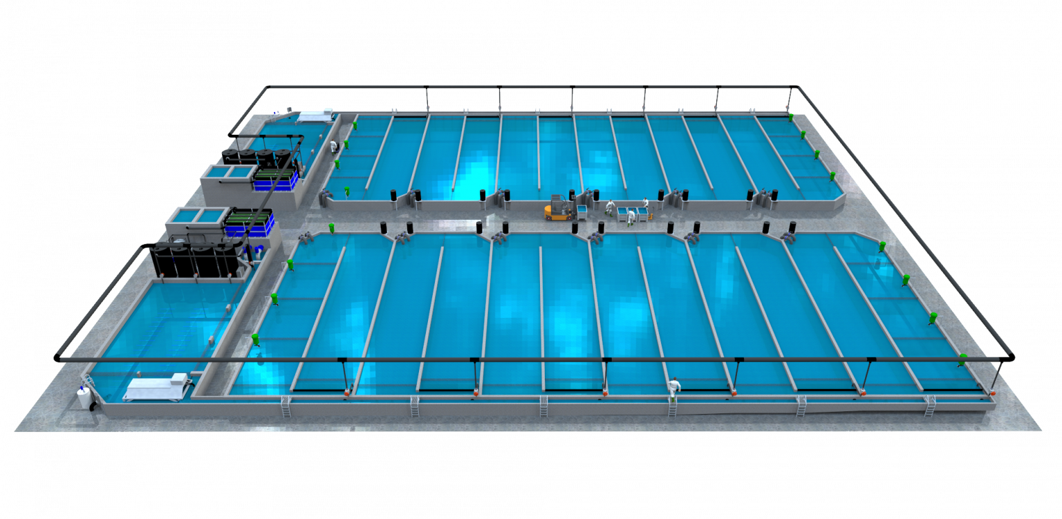 Project concept for aquaculture in RAS and flow-through systems: rex-m